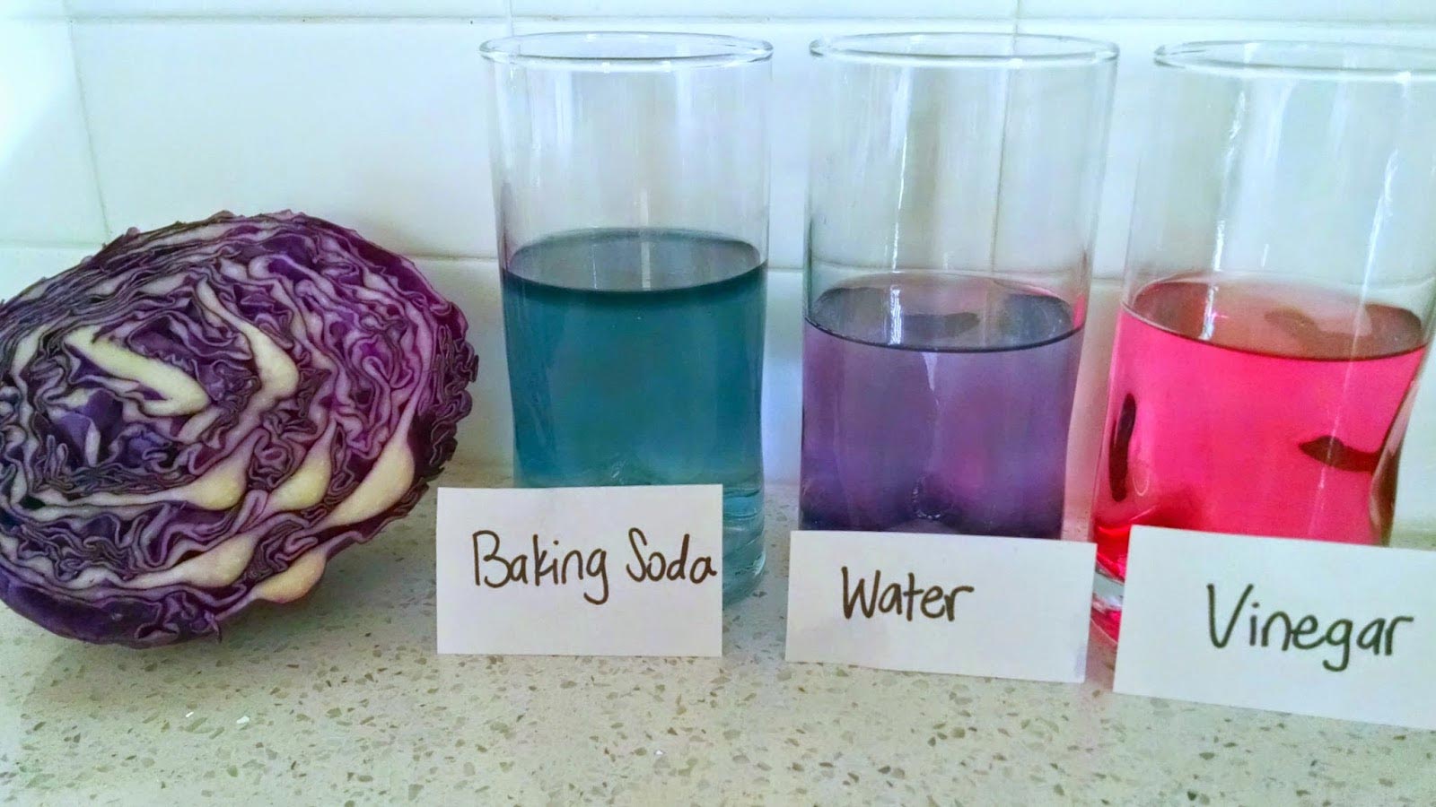DIY Red Cabbage PH Indicator Science Kiddo DIY Red Cabbage PH Indicator Science Kiddo