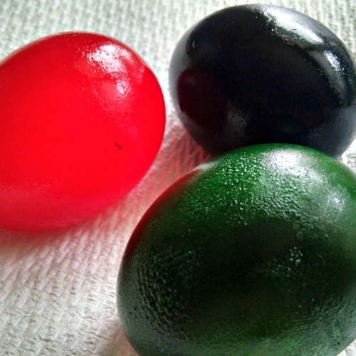 The Naked Egg Experiment | Biology for Kids - Science Kiddo