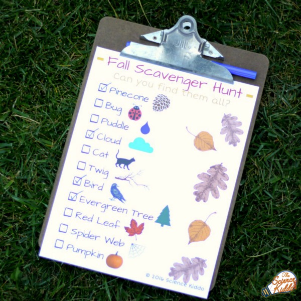 Fall Nature Scavenger Hunt for Kids • The Science Kiddo